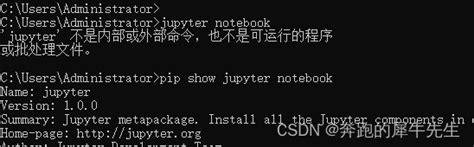 【python】在python3下安装 jupyter notebook，报错remove stale contenttypes pyi‘ 报