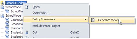 Entity Framework Code First