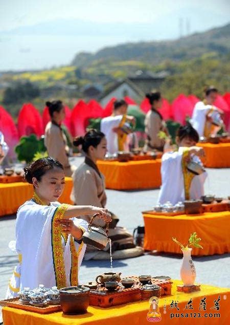 佛教圣地普陀山开采春季佛茶 菩萨在线