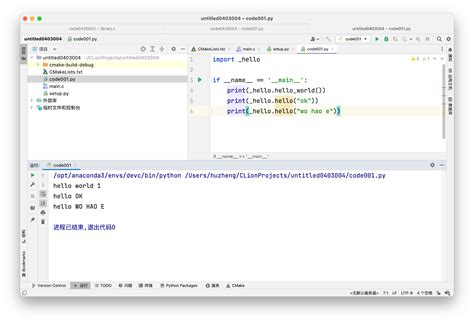 C Python Csdn