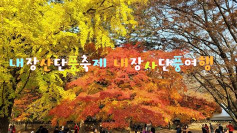 내장산단풍축제 내장산단풍여행 Youtube
