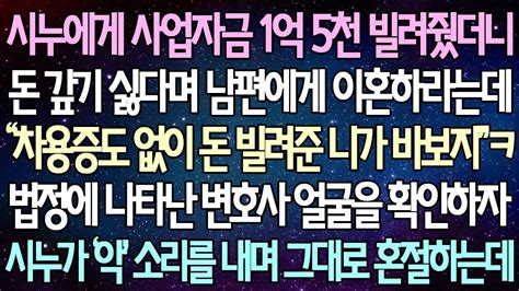 반전 사연 시누에게 사업자금 1억 5천 빌려줬더니 돈 갚기 싫다며 남편에게 이혼하라는데 법정에 나타난 변호사 얼굴을 확인하자