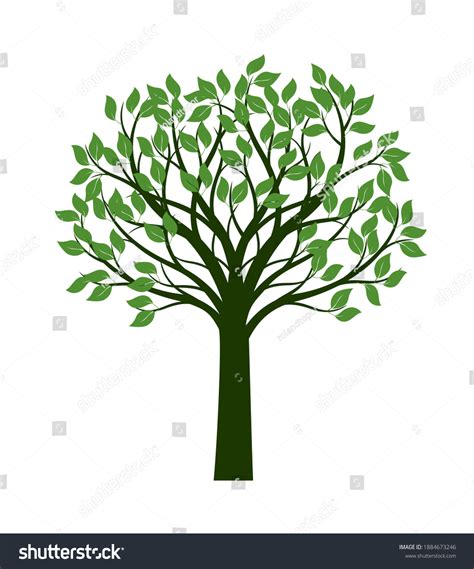 Shape Green Tree Roots Vector Outline Stock Vector Royalty Free 1884673246 Shutterstock