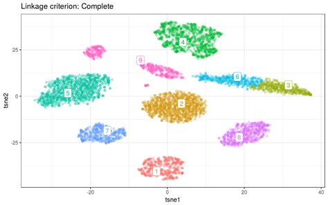 Tsne And Clustering · Hippocamplus