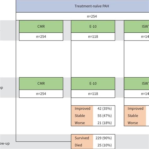 Patient Flowchart First Cardiac Magnetic Resonance Cmr At Download Scientific Diagram