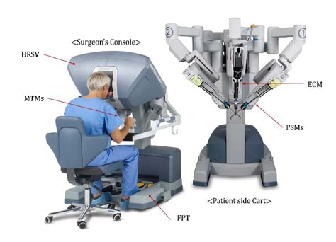 Figure 2 From Endoscopic Camera Manipulation Planning Of A Surgical