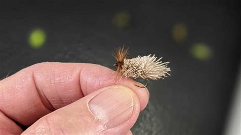11 Best Caddisfly Patterns For The Fly Fisher Nymphs Dries With An
