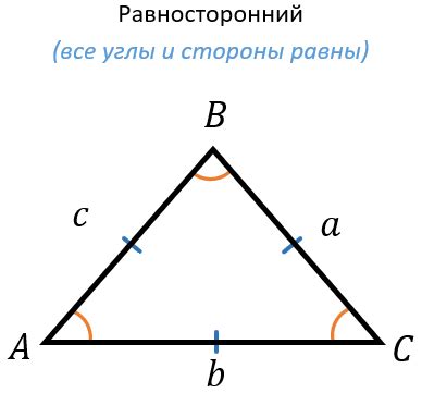 Виды треугольников — что это, определение и ответ