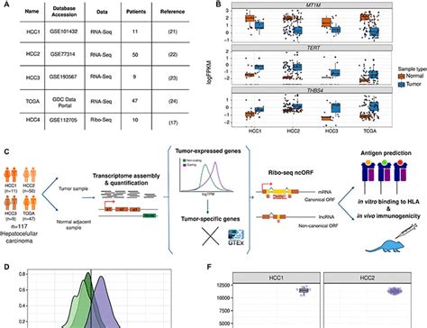 Microproteins Encoded By Noncanonical Orfs Are A Major Source Of Tumor