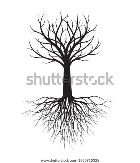 Shape Tree Roots Vector Outline Illustration Stock Vector Royalty Free Shutterstock