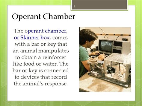 Introduction To Operant Conditioning 2 Operant Classical Conditioning