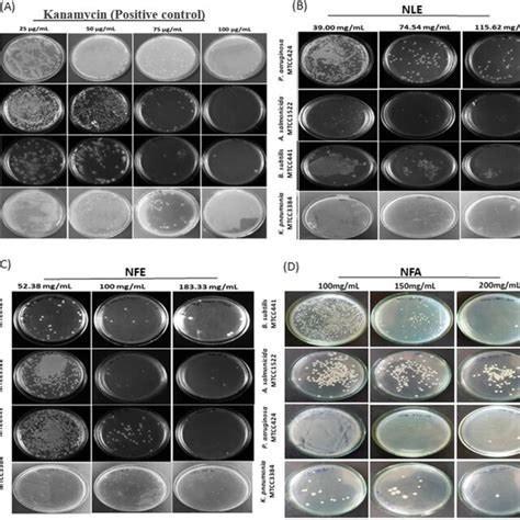 Dna Damage Prevention Activity Of N Arbor Tristis Extracts H2o2 And