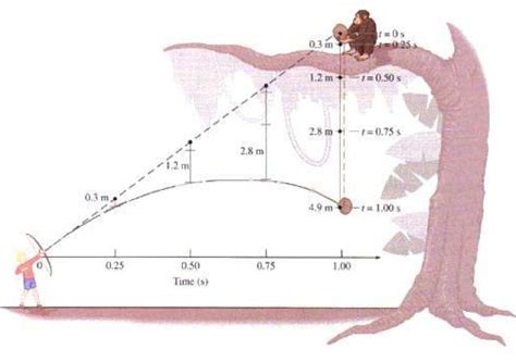 How Not To Shoot A Monkey Video Analysis Of A Classic Physics Problem