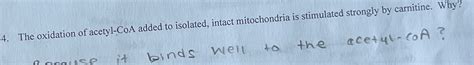 Solved The Oxidation Of Acetyl Coa Added To Isolated Intact