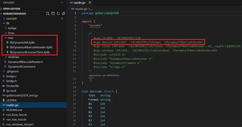 linking and loading dylib files in go barcode reader modules on macos dynamsoft developers blog