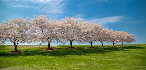 Kafkadesign Design Voor Responsive Web En Apps