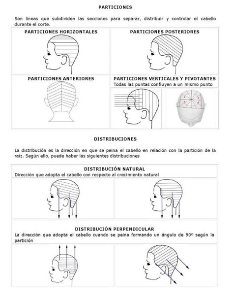 Libro Elementos Del DiseÑo De Corte Técnicas De Corte De Pelo Cortes