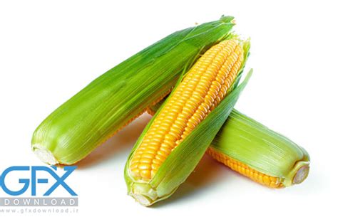 30 عکس ذرت🌽دانلود عکس ذرت و بلال با کیفیت بالا