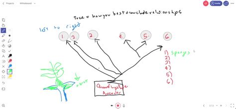 ⏩solvedlabel The Branches Of The Diagram Numerade