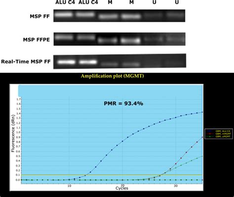 Juxtaposing Msp Products Obtained By Three Msp Approaches In Single