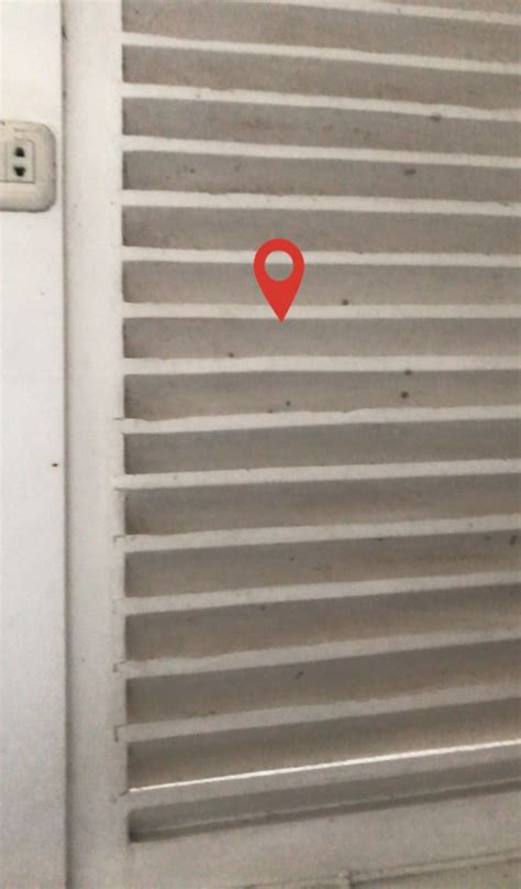 Hello Forum Can You Guys Help Me F Apple Developer Forums