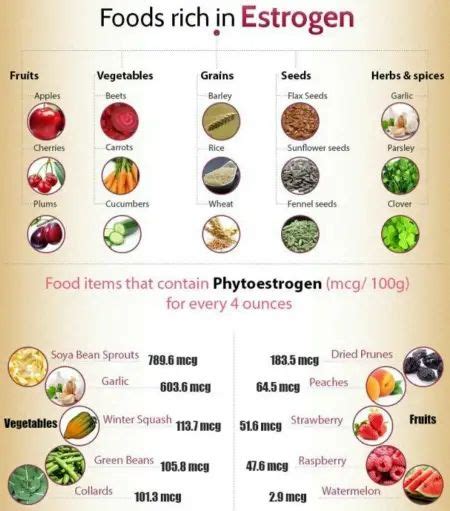 Estrogen Rich Foods In 2024 Estrogen Foods Estrogen Rich Foods