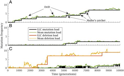 Repeat Sequences Limit The Effectiveness Of Lateral Gene Transfer And