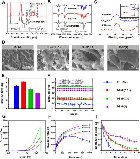 Characterization Of The Synthesized Polymers And Hydrogels A 1 H Nmr
