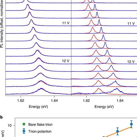 Giant Effective Trion Polariton Zeeman Splitting A Cavity Pl Spectra Download Scientific