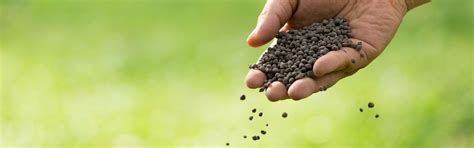 Methods Of Fertilizer Application New Nutri