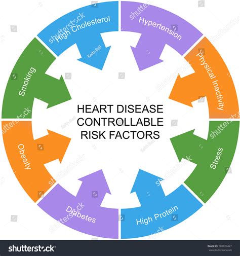Heart Disease Controllable Risk Factors Circle Stock Illustration