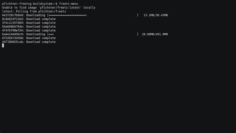 Github Pfichtnerpfichtner Freetz Vagrantbox Vm As A Wrapper To Run Docker Containers Comes