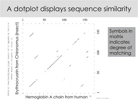 PPT Lecture 1 Sequence Alignment PowerPoint Presentation Free Download ID 3622518