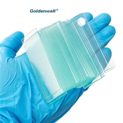 Plant Tissue Microscope Slides Manufacturers And Suppliers Customized