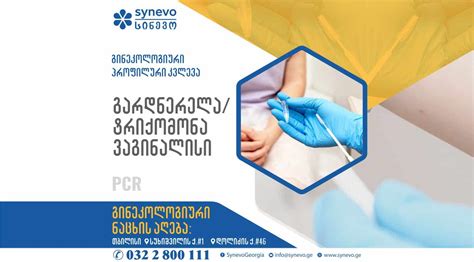 გარდნერელა ტრიქომონა ვაგინალისი პჯრ რეალურ დროში