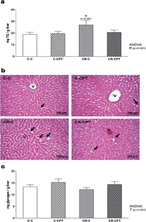 Triglyceride Content In Liver A Representative Liver Slides Stained