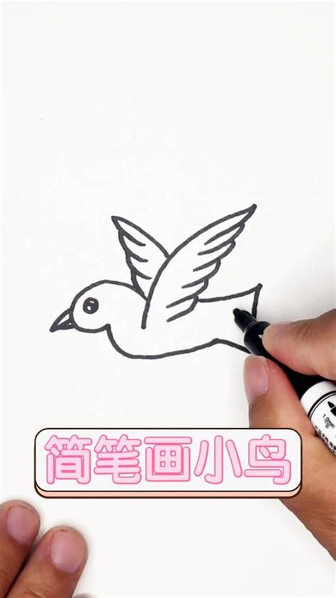 小鸟简笔画简单又漂亮 小鸟简笔画简单又漂亮 儿童画 画趣文库（我爱生活）