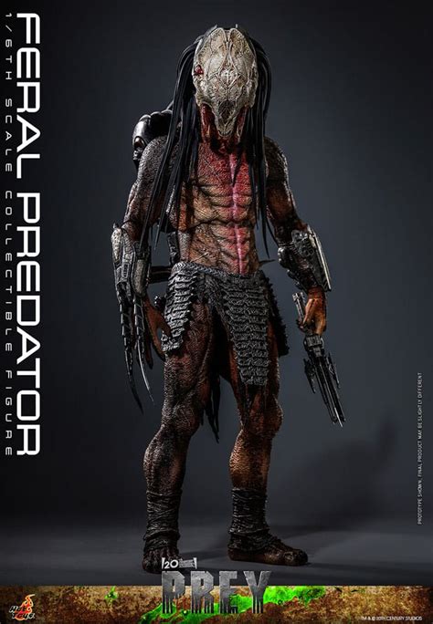 Feral Predator Wannabe