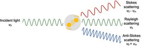 Machine Learning Assisted Raman Spectroscopy A Viable Approach For The Detection Of