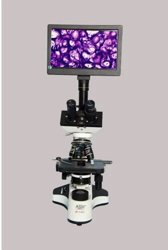 Lcd Screen For Microscope Modeltft Is It Portable Portable 5mp At ₹ 42000 In Ambala