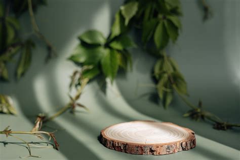 그림자와 어두운 녹색 배경에 프리젠 테이션 및 전시회를위한 자연 둥근 나무 스탠드 유기농 화장품을 위해 녹색 잎으로 3d 빈