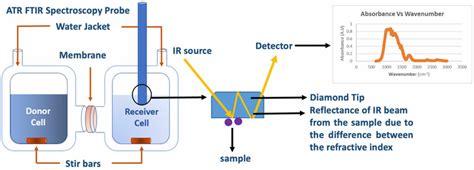 Schematic Of Multicomponent Permeability Measurement Through A Download Scientific Diagram