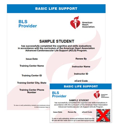How To Apply Bls Through Aha Staffing Guide