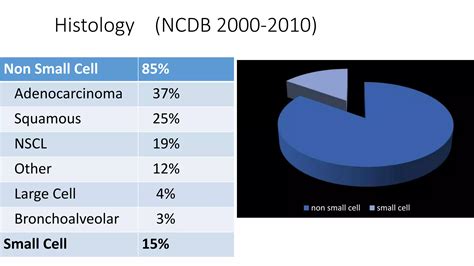 Lung Cancer Anatomy To Pathological Classification Pptx Lung And Respiratory Health