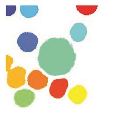 Topographic Maps And Cell Segmentation Results A Distance Download Scientific Diagram