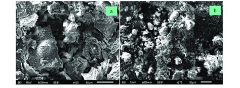 SEM Micrographs A CCA B CSP Download Scientific Diagram