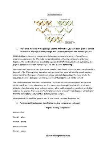 Dna Hybridisation Error Correction Teaching Resources
