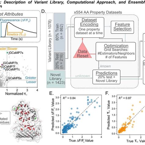 Description Of Variant Library Computational Approach And Ensemble Download Scientific