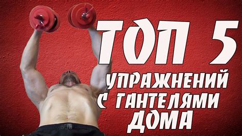 Лучшие упражнения с гантелями в домашних условиях Youtube