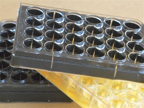 Block Us Inno Sol Is An Innovative Start Up